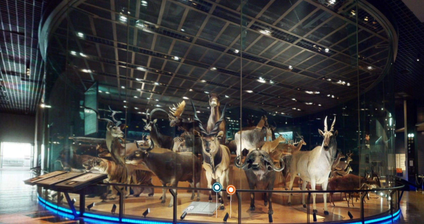 Natural Museum of Nature and Science – Global Gallery – virtual.reality ...